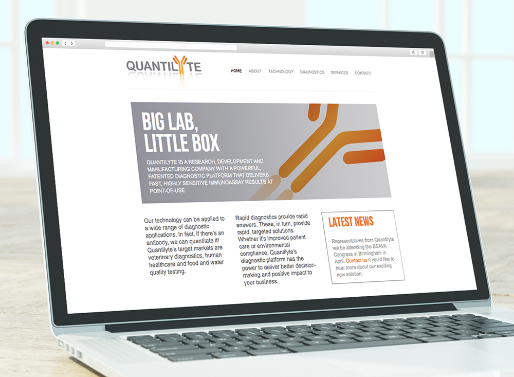 Website Design & Implementation